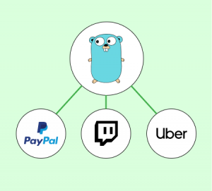 Go or No Go: What is Golang and Why It’s Perfect For Your Project | Smooets