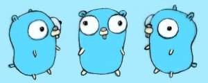 Go or No Go: What is Golang and Why It’s Perfect For Your Project | Smooets